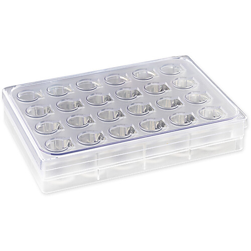 Corning® FluoroBlok™ 24-Multiwell Insert Systems, PET Membrane