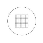 Microscope Grid at Thomas Scientific