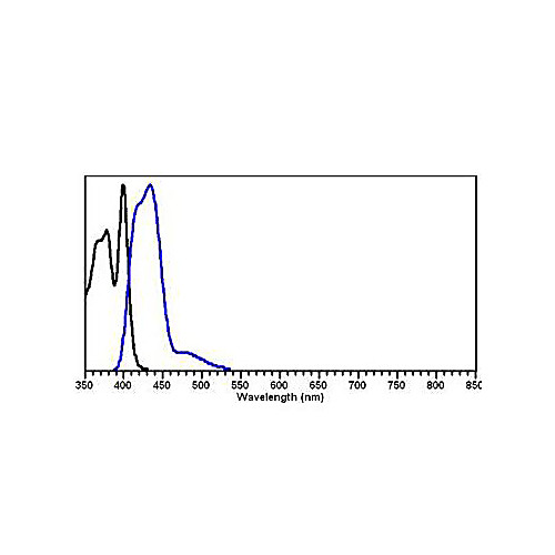 PROTEIN G DyLight™ 405 Conjugated, 100µg, Lyophilized