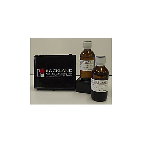 Tween-20 Ultra Pure, 50mL, Liquid