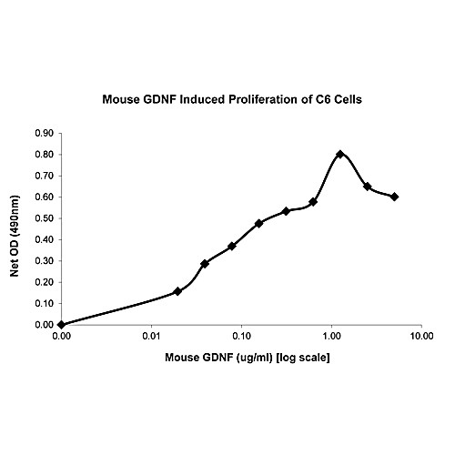 Mouse Glial Derived Neurotrophic Factor Recombinant Protein