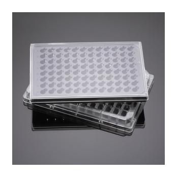 FluoroBlok™ HTS 24 Well Multiwell Permeable Support System with High ...