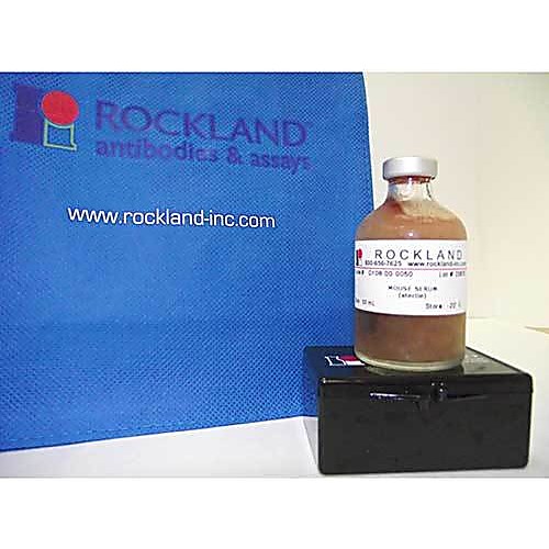 MOUSE SERUM (sterile)