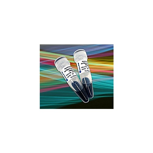 SmartCheck™ Tri-color Protein Marker