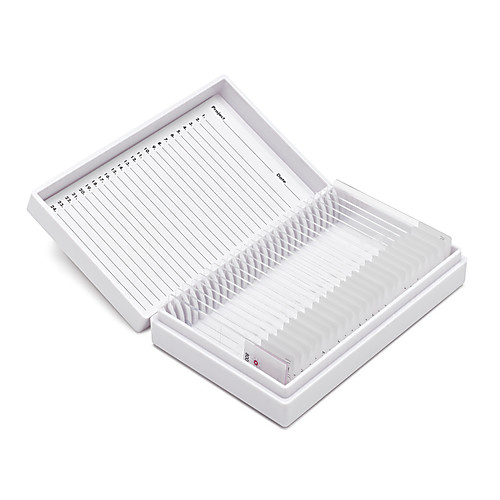 Slides Tissue Control Acid Fast Bacteria 25/pkg