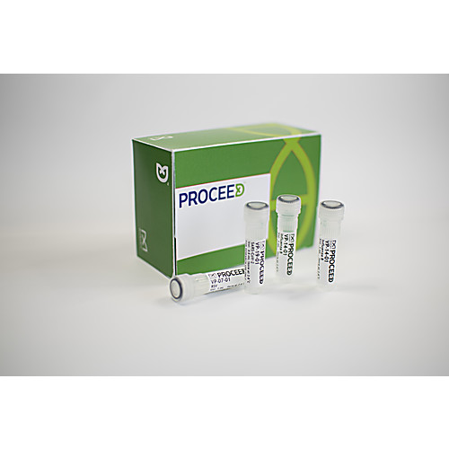 Influenza B Positive