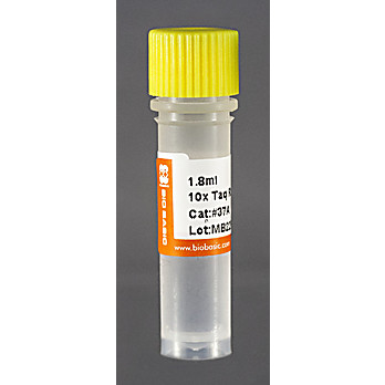 TAQ DNA Polymerase (High Purity)