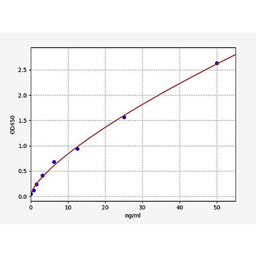 Human TAGLN3/Transgelin-3 ELISA Kit
