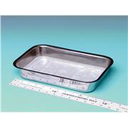 Dissection Tray at Thomas Scientific