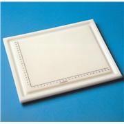 Richard Allan Scientific