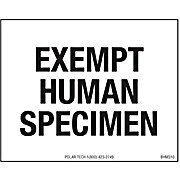 Adhesives | Thomas Scientific