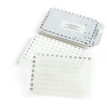 CT/ NG Microbiota Simplicity Panel™