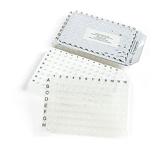 CT/ NG Microbiota Simplicity Panel™