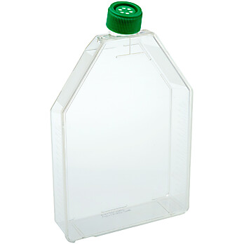 300cm2 Tissue Culture Flasks