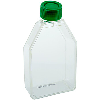 75cm2 Tissue Culture Flasks