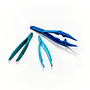 Dissecting Forceps | Thomas Scientific