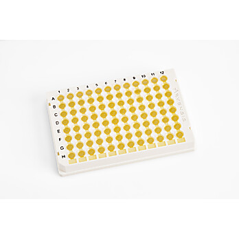 A-Frame® Random Access PCR Tube Strip Plate
