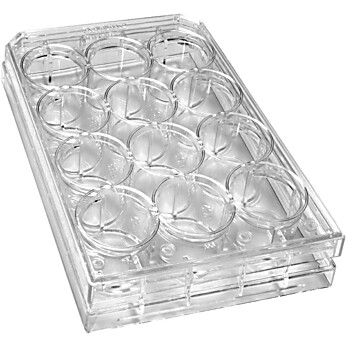 TC Treated 12-Well Plate W/Lid