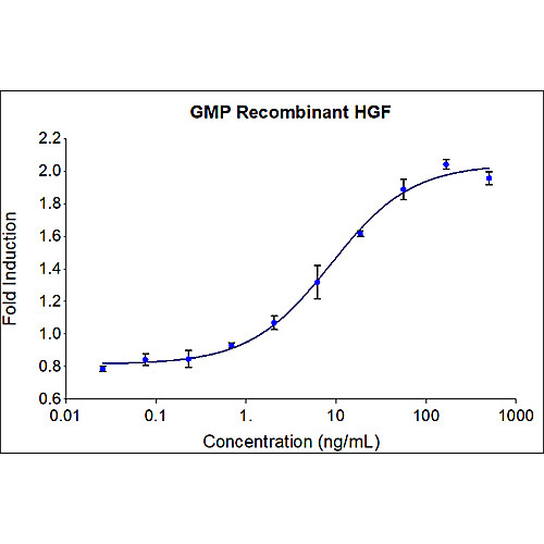 HumanKine® Recombinant Human HGF protein, GMP Grade