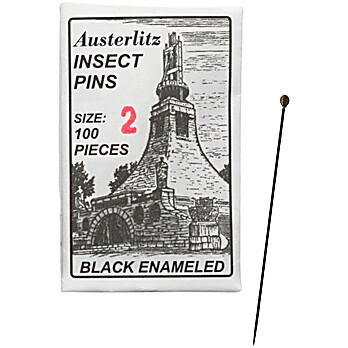 Premium Insect Dissection Pins