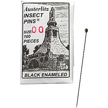 Premium Insect Dissection Pins