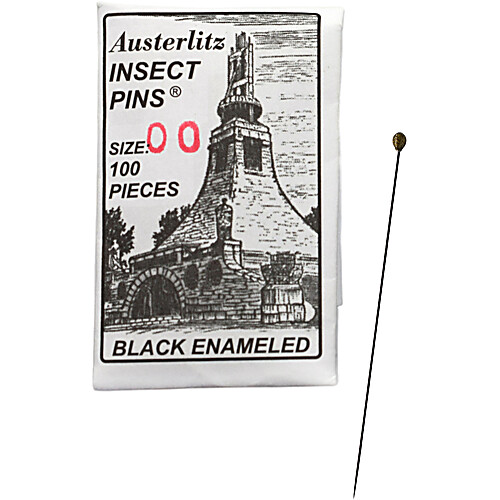 Premium Insect Dissection Pins