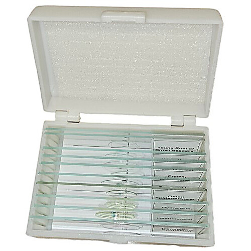 Prepared Microscope Slide Plant Set 10 slides