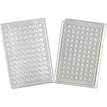 Microplate with 96 Wells and Lid, Clear Polystyrene