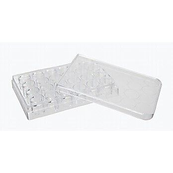 Microplate with 24 Wells and Lid, Clear Polystyrene