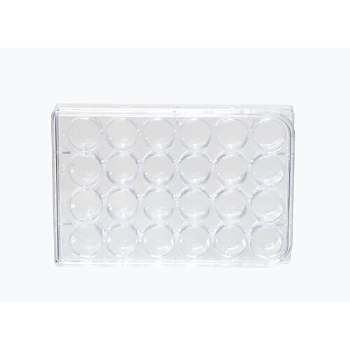 Microplate with 24 Wells and Lid, Clear Polystyrene