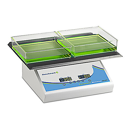 Everlast™ Rocker with Variable Speed and Flat Mat