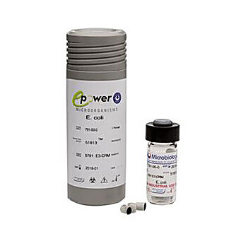 Escherichia coli derived from ATCC® 51813™