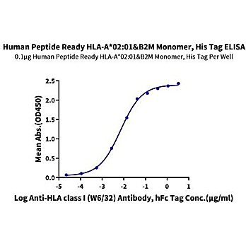 Human Peptide Ready HLA-A*02:01&B2M Monomer Protein (MHC-HM43R)
