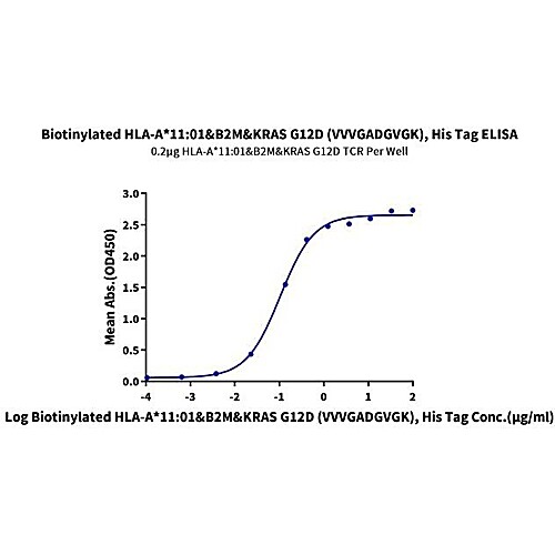 Biotinylated Human HLA-A*11:01&B2M&KRAS G12D (VVVGADGVGK) Monomer ...