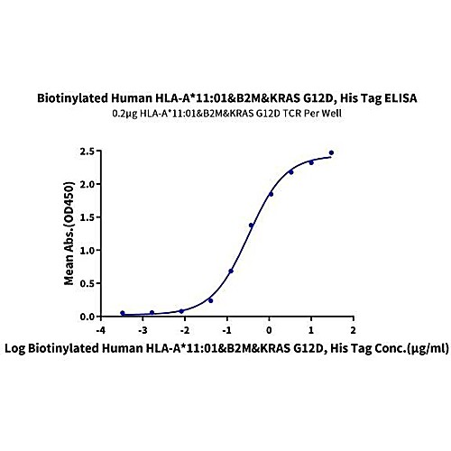 Biotinylated Human HLA-A*11:01&B2M&KRAS G12D (VVVGADGVGK) Monomer ...