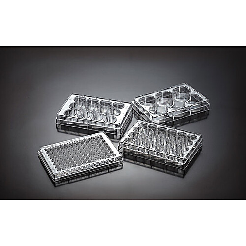 BioX Multi-Well Tissue Culture Plates