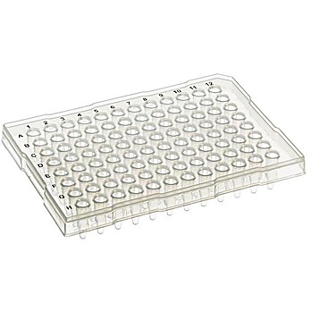 BioX 96-Well PCR Plates