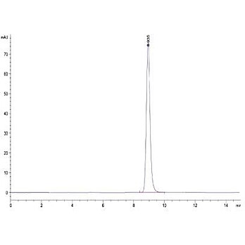 Mouse H-2K (b) &B2M&OVA (SIINFEKL) Monomer Protein (MHC-MM453)