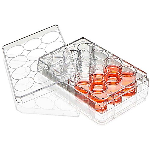 Diamond® SureGro™ Multiple Well Plates