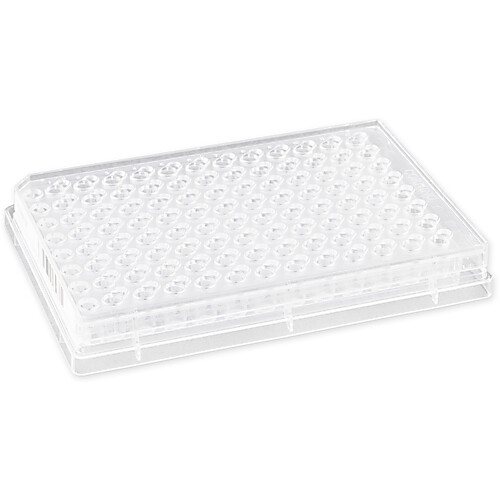 HTS Transwell®-96 Permeable Support with 0.4µm PET Membrane