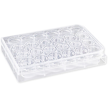 6.5 mm Transwell Microplate Inserts