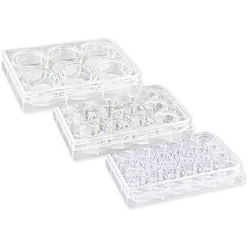 HTS Transwell®-96 Permeable Support