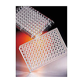 HTS Transwell®-96 Permeable Support with 0.4µm PET Membrane