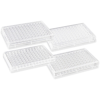 HTS Transwell®-96 Permeable Support