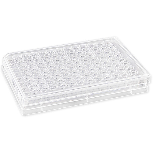 HTS Transwell®-96 Permeable Support