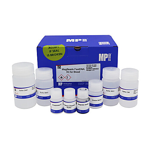 MagBeads FastDNA Kit for Blood