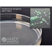 Cetrimide Agar at Thomas Scientific