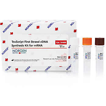 TruScript First Strand cDNA Synthesis Kits
