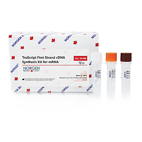 TruScript First Strand cDNA Synthesis Kits