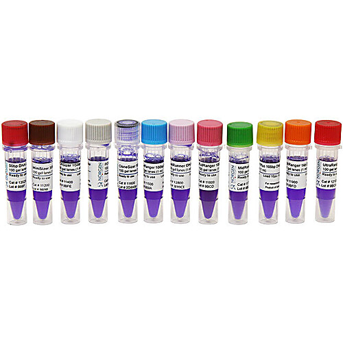 PCR Sizer 100bp DNA ladder